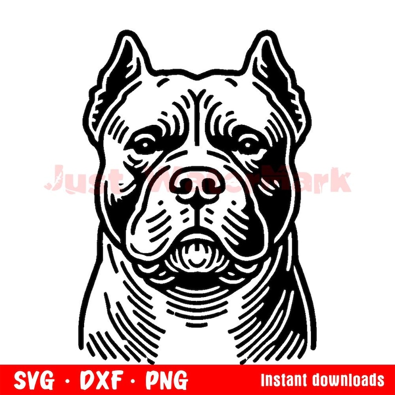 American Bully Drawing Dog Head Face Pet Lover Svg, Dxf, Png Files ...