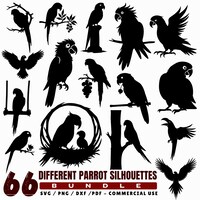 Parakeet SVG Bundle, Parrot Clipart, Hand Drawn Tropical Bird Theme ...