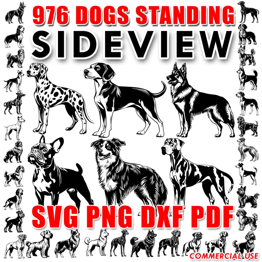 976 Dogs Standing Sideview Cut File Designs Svg Files Bundle Design Svg ...