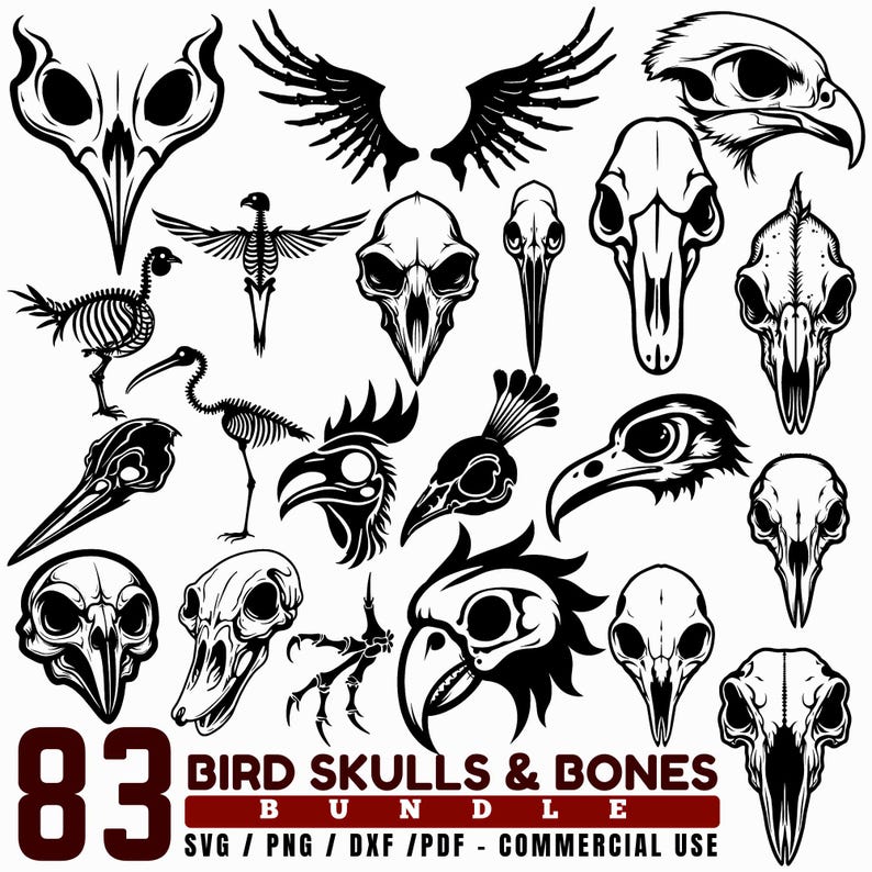 Bird Skulls & Bones Svg Png Pdf Dxf Bundle Gothic Skull Anatomy Art ...