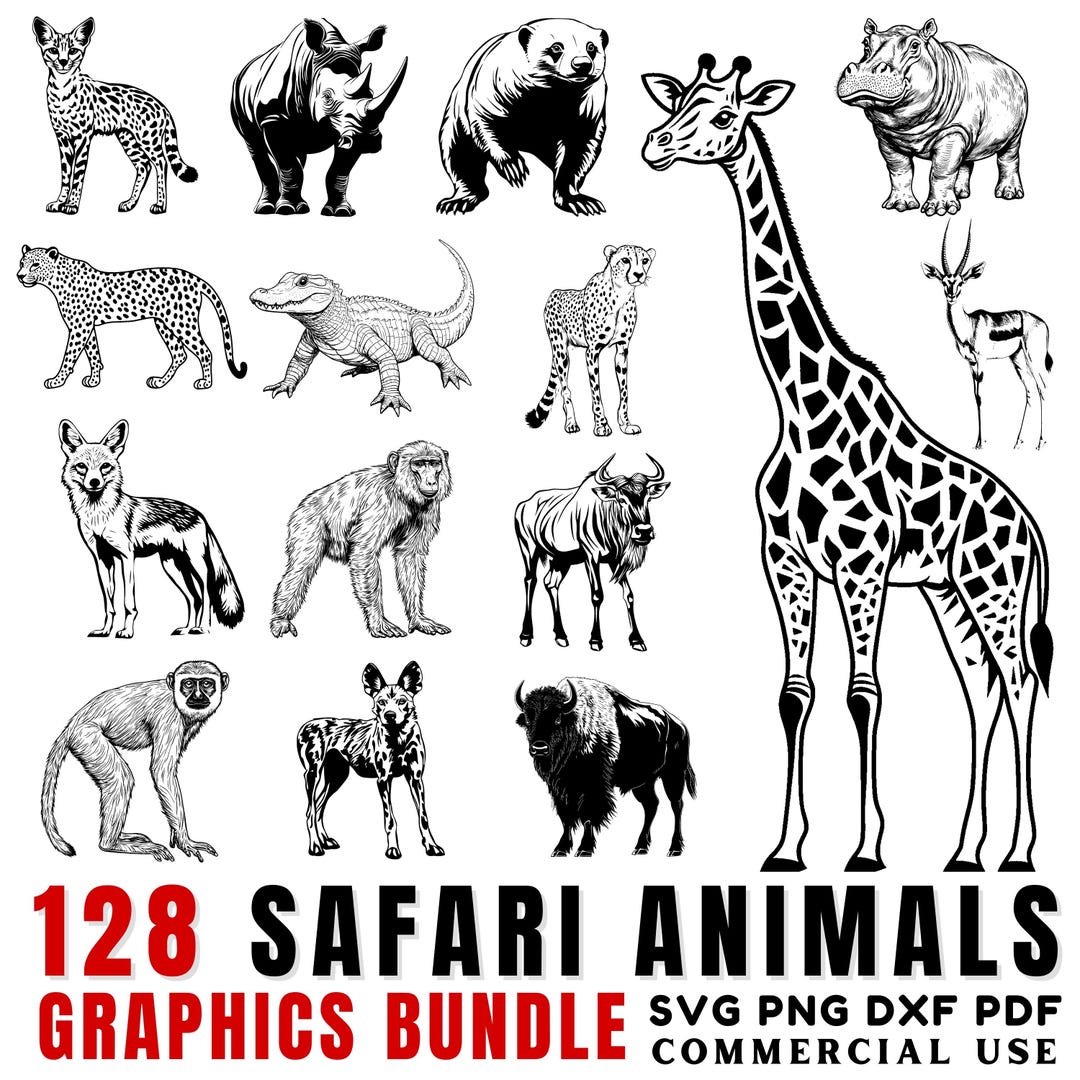 Safari Animals Graphic Bundle Cut File Designs Svg Files Bundle Design ...
