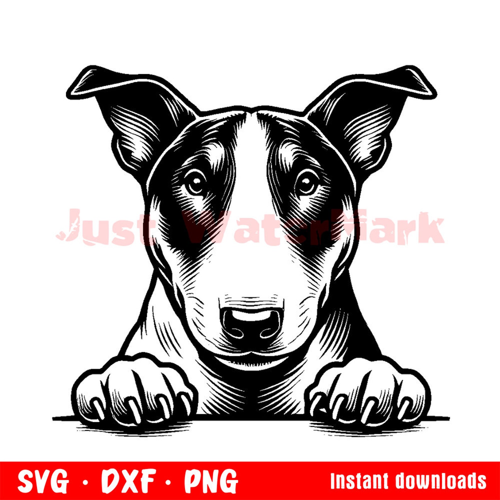 Bull Terrier Cute Dog Peeking Pose Drawing Pet Lover Svg, Dxf, Png ...