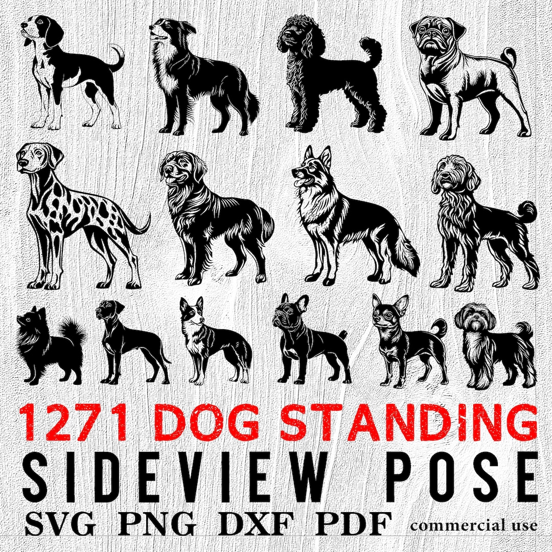 1272 Dogs Standing Sideview Cut File Designs Svg Files Bundle Design ...