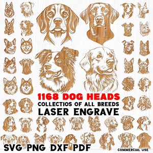 Laser Engraving Files Dogs Faces 1168 Heads All Breeds Bundles Svg Dxf ...