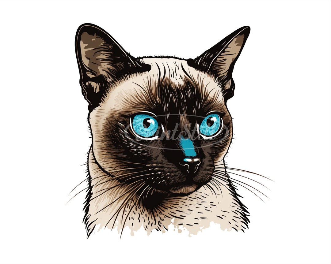 Cute Siamese Cat Png Sublimation Designs, Siamese Svg, Siamese Clipart ...