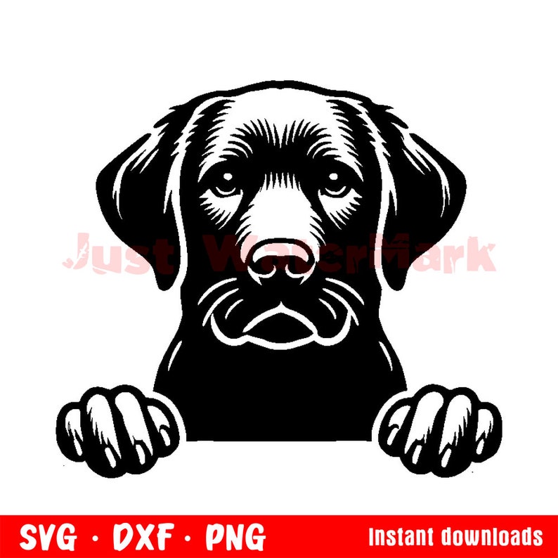 Labrador Retriever Art Cute Peeking Pose Dogs Pet Lover Svg, Dxf, Png ...