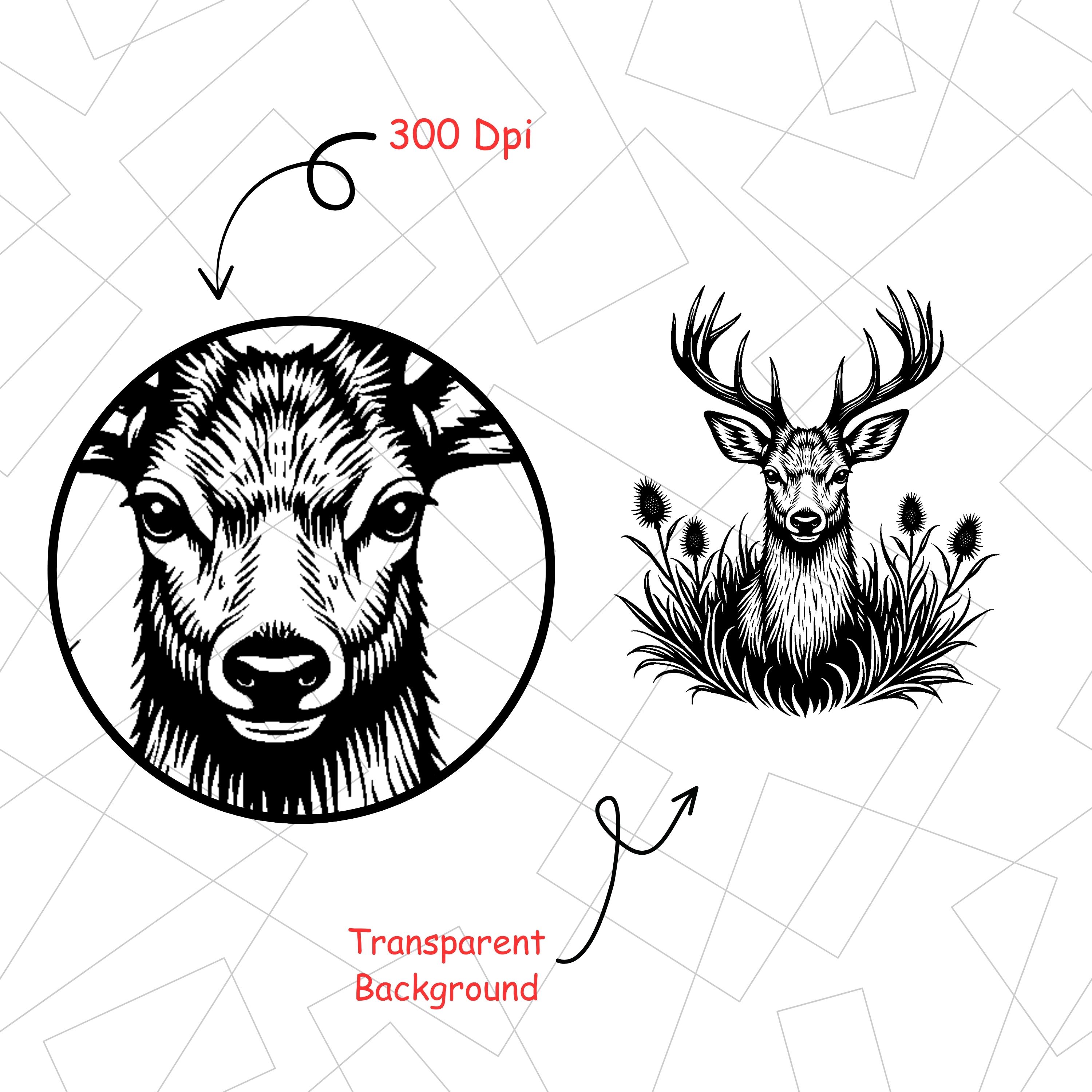 Laser Engraved Deer Wildlife Designs: SVG PNG PDF Coaster Files ...