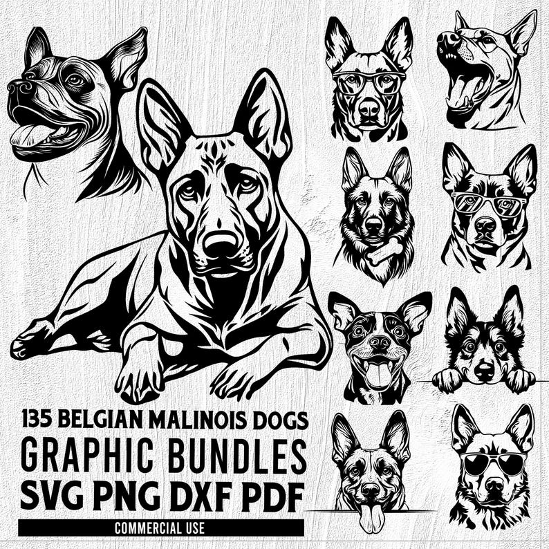 Belgian Malinois Dog Graphic Bundle Cut File Designs Svg Files Bundle ...