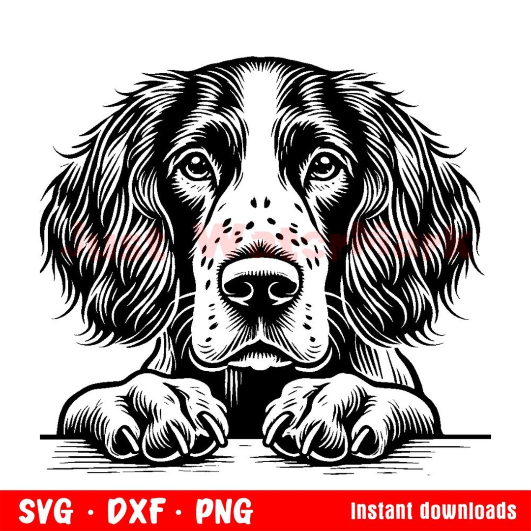 Welsh Springer Spaniel Dog Breed Cute Peeking Pose Svg, Dxf, Png Files ...