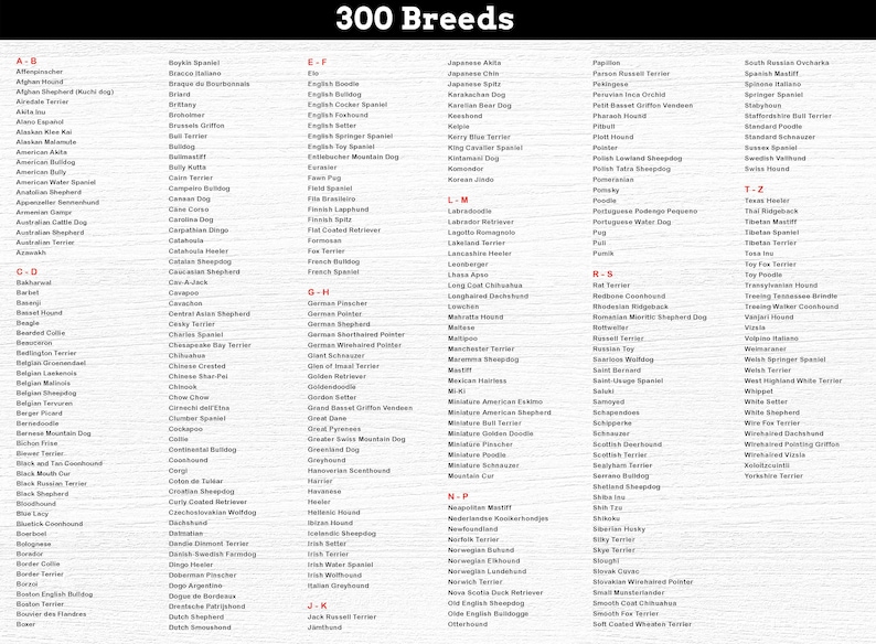 Dog Breeds Laser Cut Files: 984 Dog Heads (svg, Dxf, Pdf, Png) (digital ...