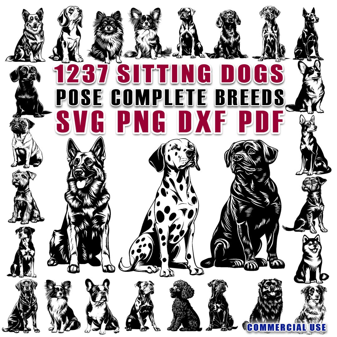 Sitting Dogs Pose Complete Breeds Cut File Designs Svg Files Bundle ...