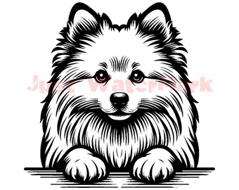 Peeking Pose Finnish Spitz Svg Dxf and Png Files Instant Digital ...