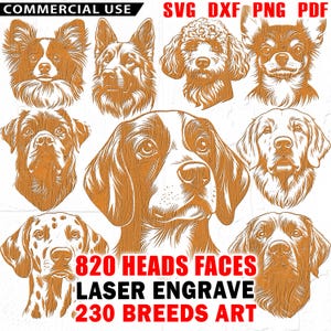 Laser Engraving Files 820 Dog Heads 230 Breeds Art Bundles Svg Dxf Pdf ...