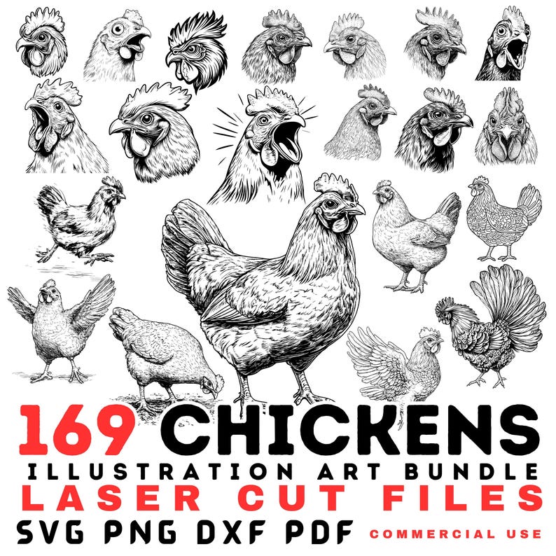 Laser Cut Files Chicken Illustration Art Cuttable Bundle Svg Dxf Pdf ...