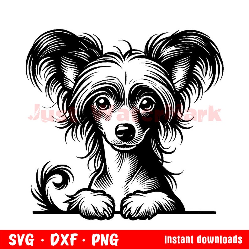 Chinese Crested Cute Dog Peeking Pose Drawing Pet Lover Svg, Dxf, Png ...