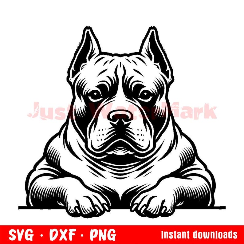 American Bully Cute Drawing Theme Dog Breed Cute Peeking Pose Svg, Dxf ...