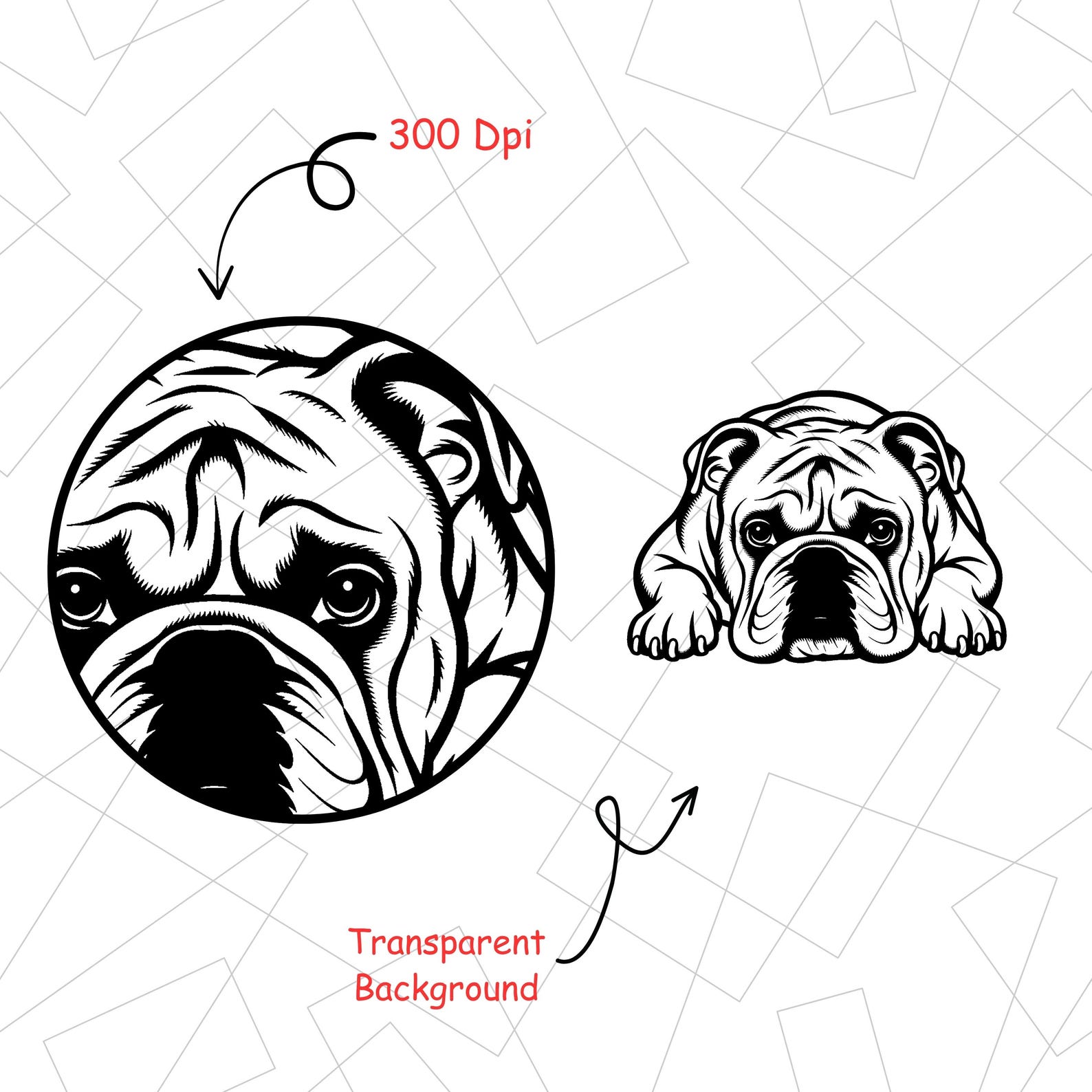 Dog Breeds Laser Engrave Files: SVG, PNG, PDF (commercial Use, Instant ...