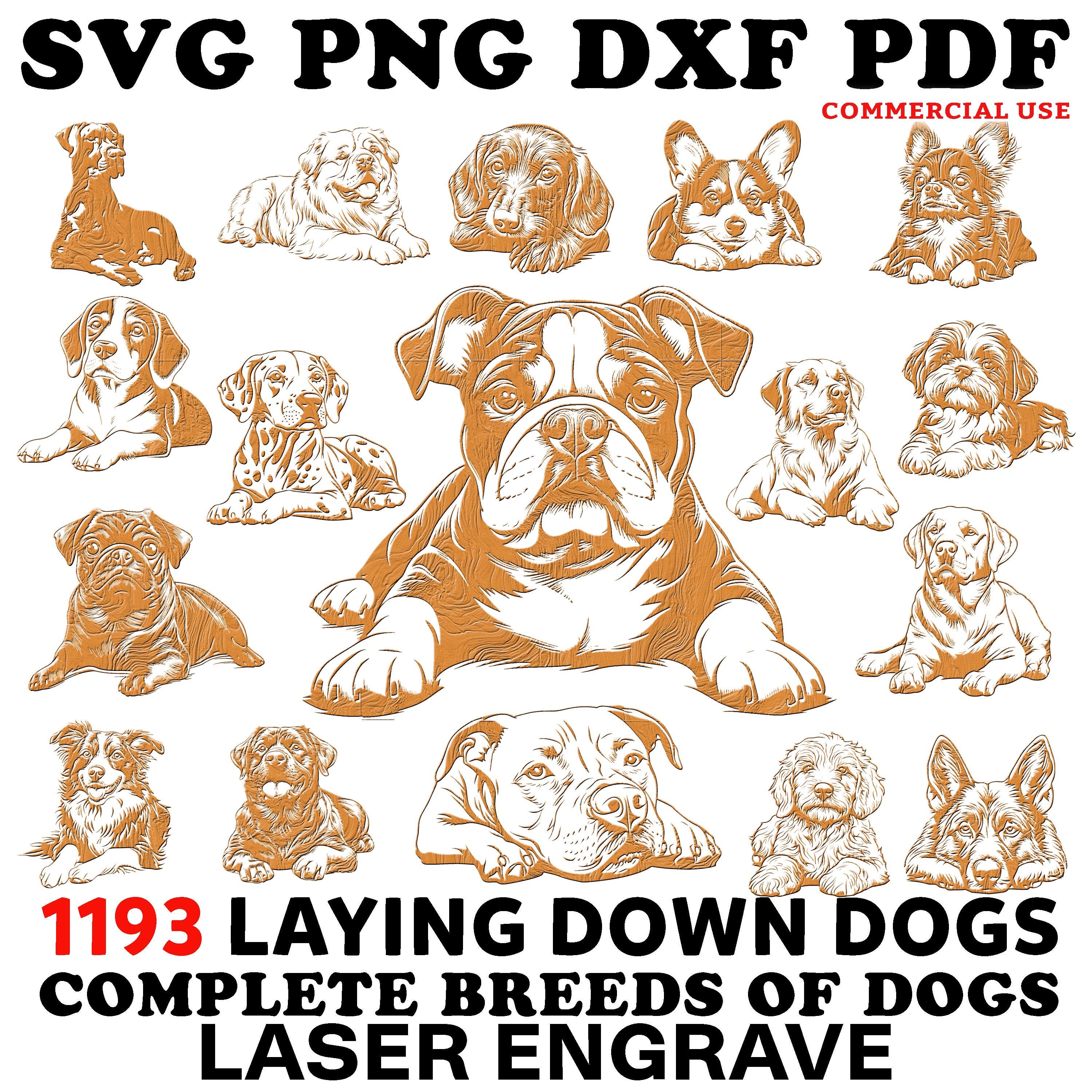Laser Engraving Files Dogs 1196 Laying Down Complete Breeds of Dogs ...