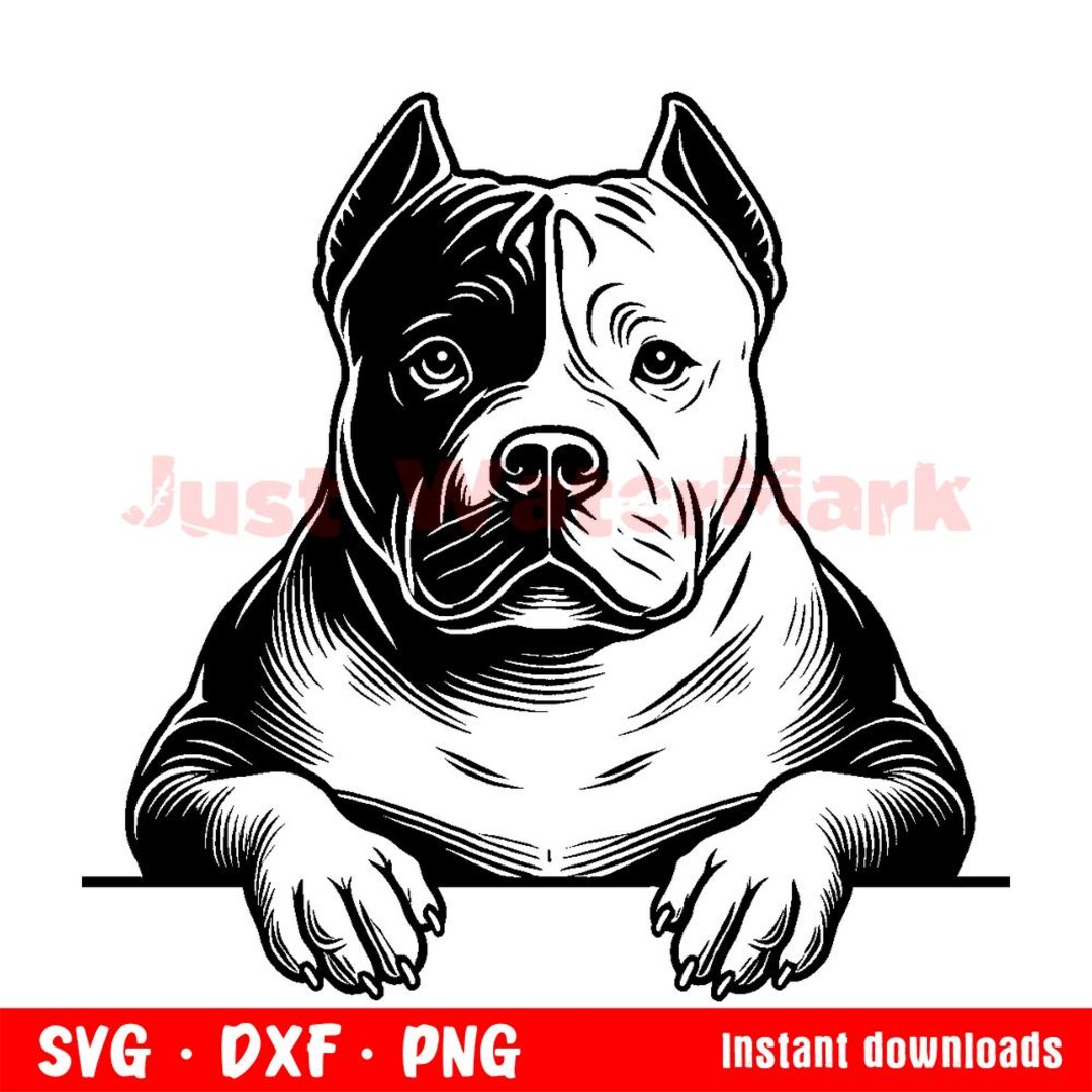 American Bully Funny Art Dog Breed Cute Peeking Pose Svg, Dxf, Png ...
