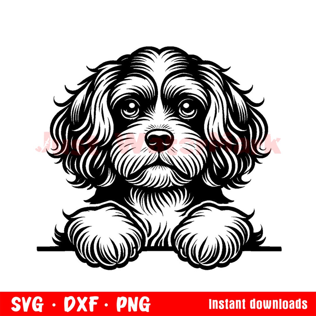 Cavapoo Cute Dog Peeking Pose Drawing Pet Lover Svg, Dxf, Png Files ...