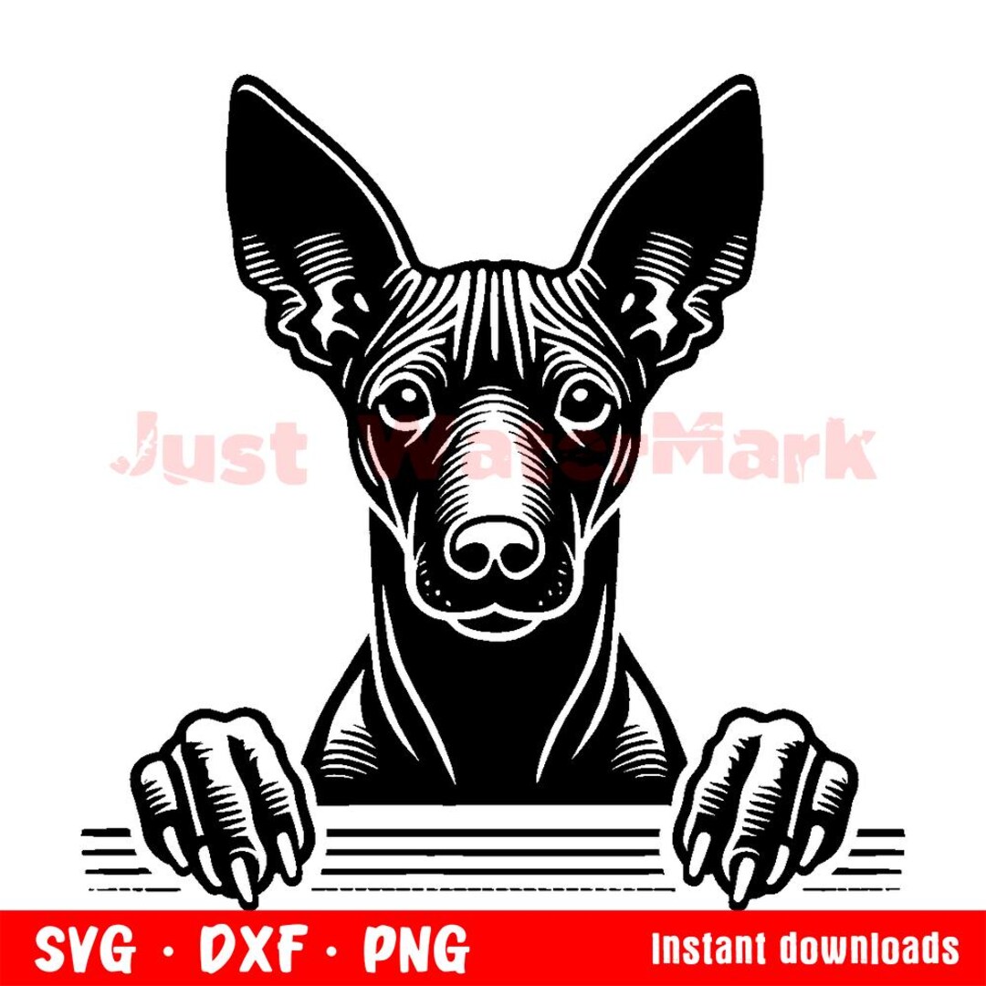 Xoloitzcuintli Dog Peek-a-boo Clipart SVG PNG DXF Files for Crafting ...