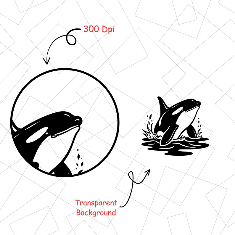 Orca Ballet SVG Bundle | Underwater Whale Clipart for Crafts & Projects ...