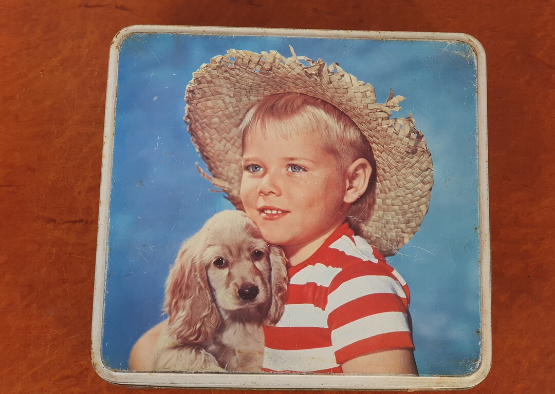 VINTAGE TINS Boy With Dog Cocker Spaniel, Biscuit Tin, Burton's Gold ...