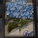 3D Paper Relief Hydrangea Flower, Handcrafted Flower - Etsy