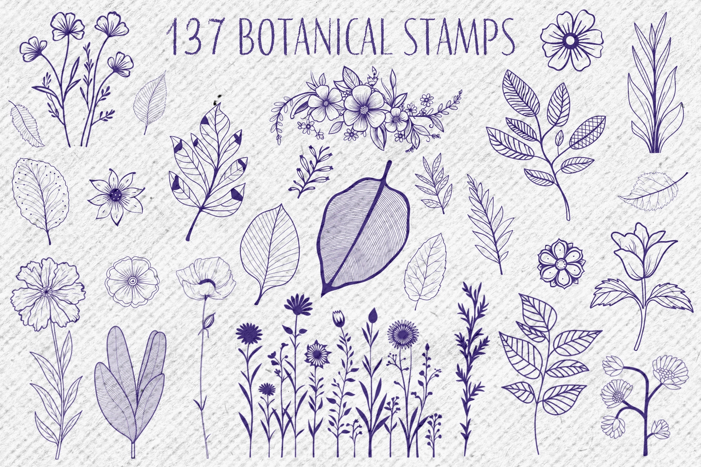 137 Botanical Stamps for Procreate + 10 Bonus Drawing Brushes, Flower ...