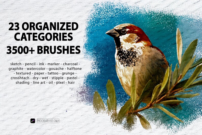 3500+ Procreate Brushes Mega Bundle, Watercolor, Ink Line Art, Pencil ...