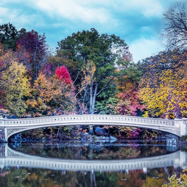 Rice University, Lovett Hall Attenuated Columns, Houston, Neo-byzantine ...