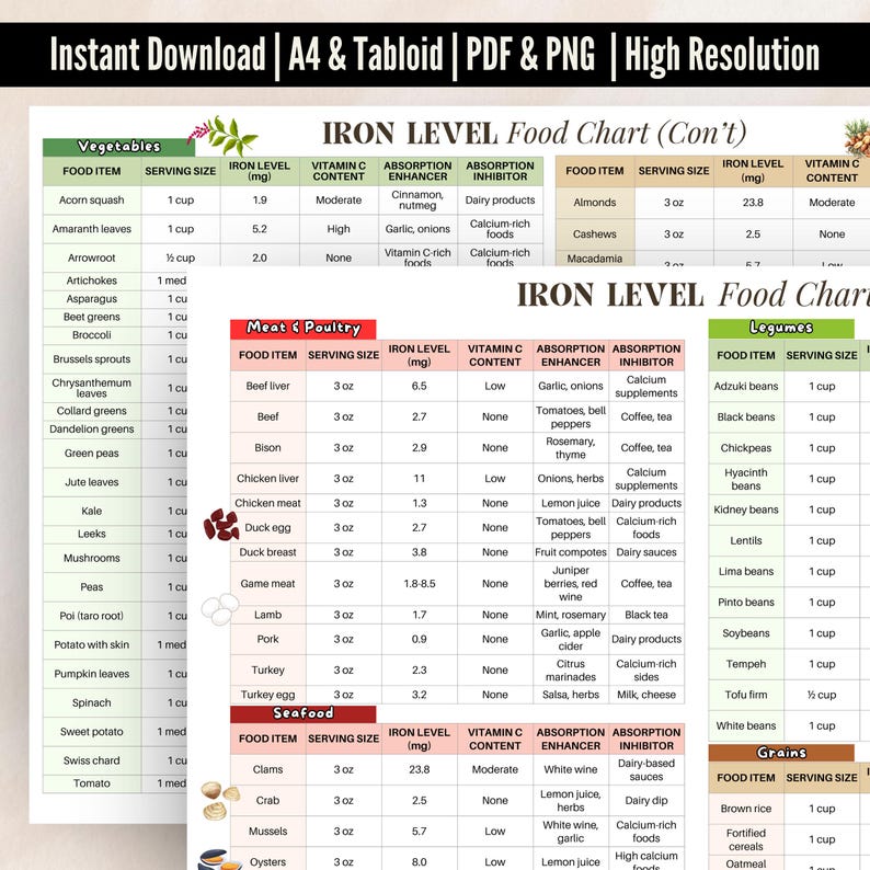 Iron Rich Food Printed Charts PDF, High Iron Food List Printable Poster ...