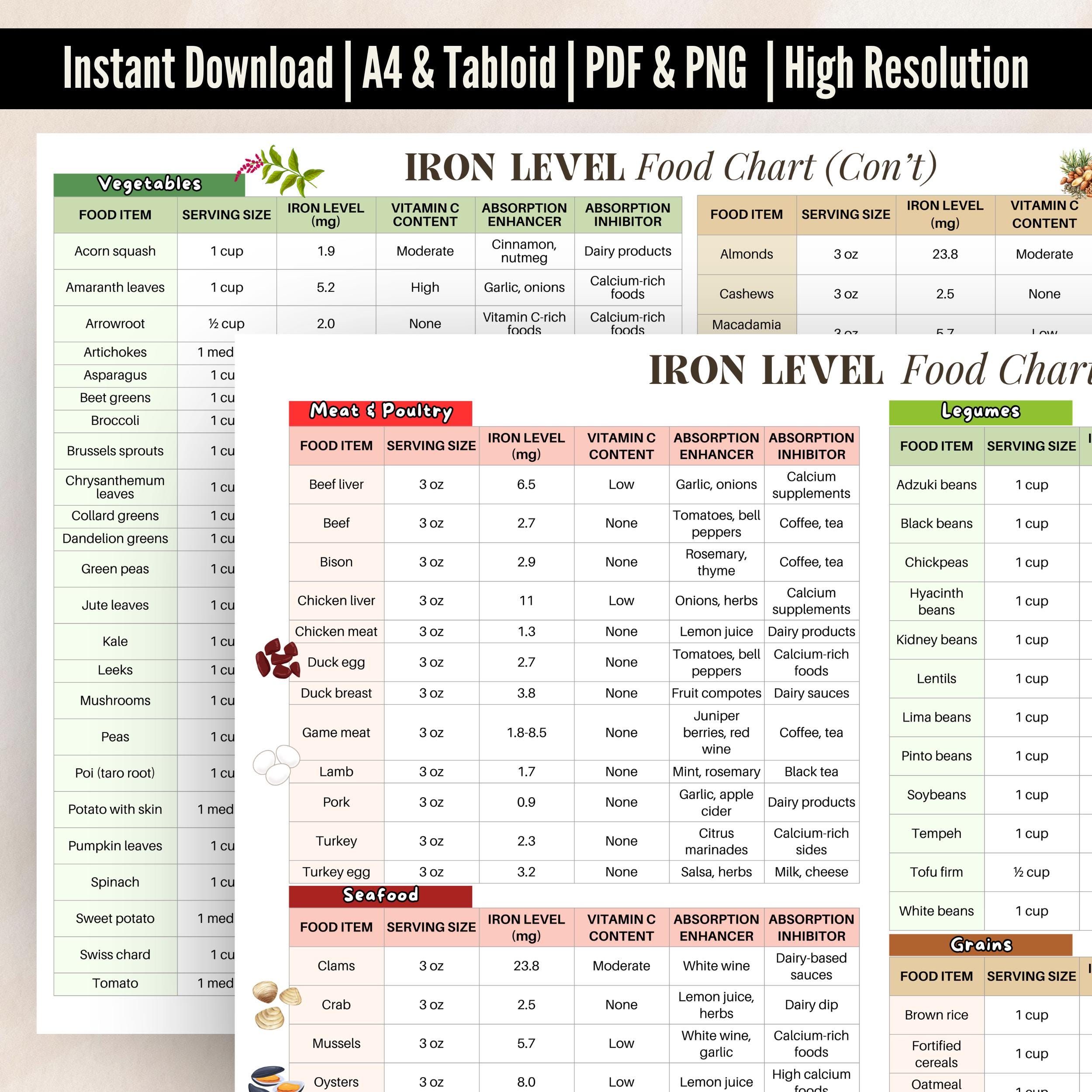 Iron Rich Food Printed Charts PDF, High Iron Food List Printable Poster ...