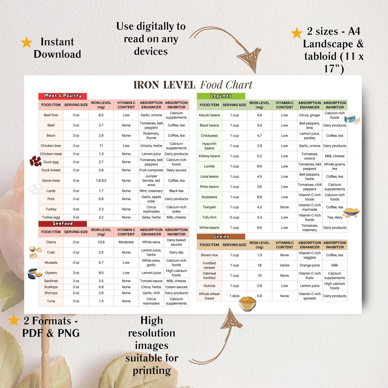 Iron Rich Food Printed Charts PDF, High Iron Food List Printable Poster ...