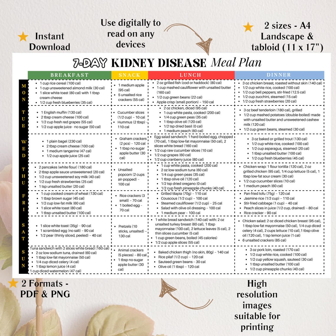 7-day Kidney-friendly Meal Plan Guide Printable PDF, Renal Diet, Low ...