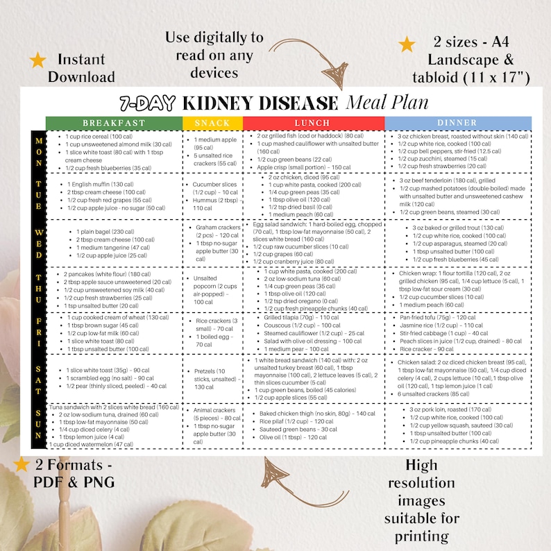 7-day Kidney-friendly Meal Plan Guide Printable PDF, Renal Diet, Low ...