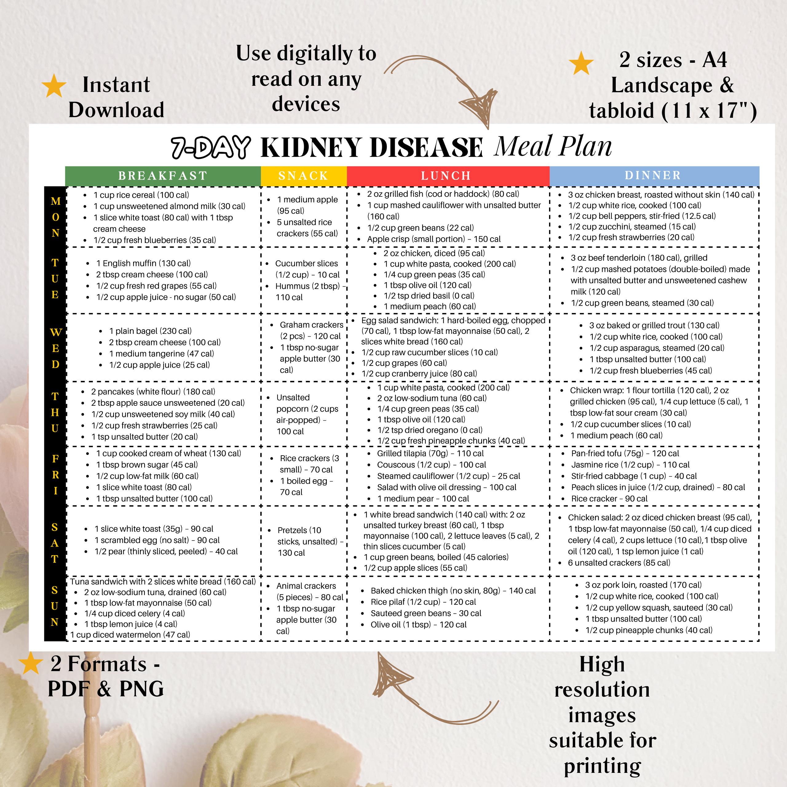 7-day Kidney-friendly Meal Plan Guide Printable PDF, Renal Diet, Low Sodium, Low Potassium ...