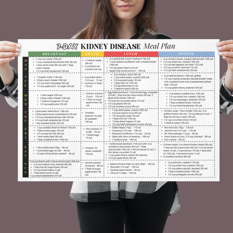 7-day Kidney-friendly Meal Plan Guide Printable PDF, Renal Diet, Low ...