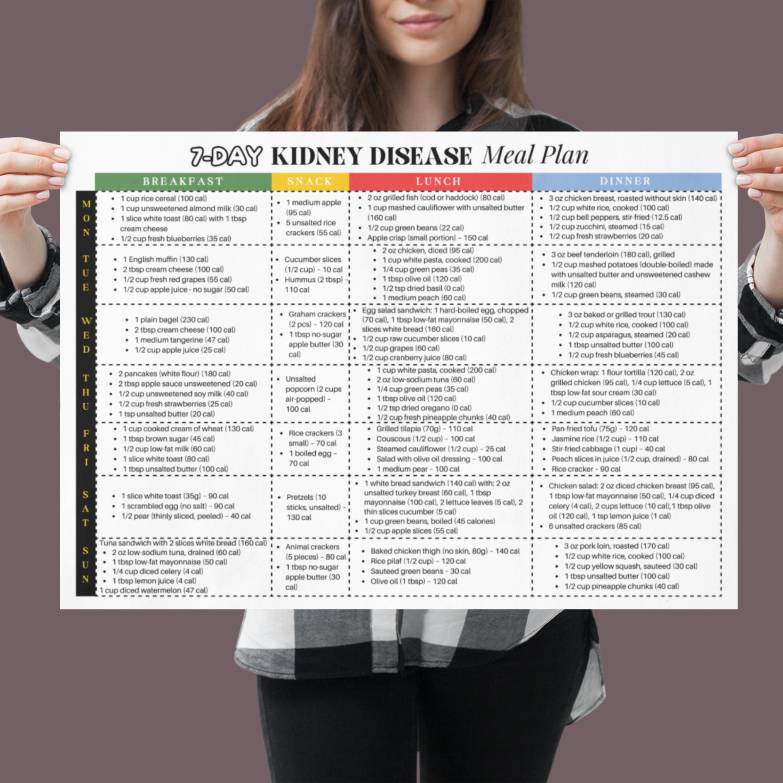 7-day Kidney-friendly Meal Plan Guide Printable PDF, Renal Diet, Low ...