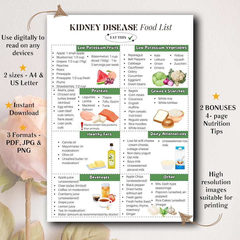 Kidney Friendly Food List Digital Poster, Stage 3 Kidney Foods to Avoid ...