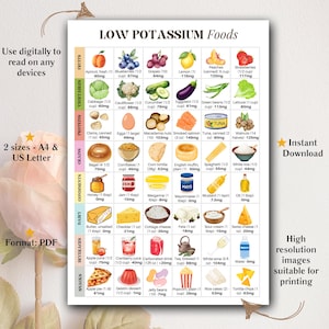 Low Potassium Foods Chart PDF | Renal Diet Food Chart | Kidney Friendly ...