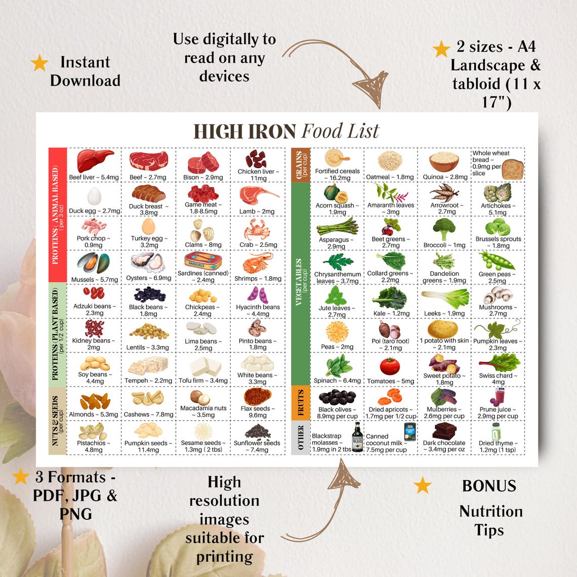 Iron Rich Food List, Iron Rich Foods Anemia, High Iron Food List ...