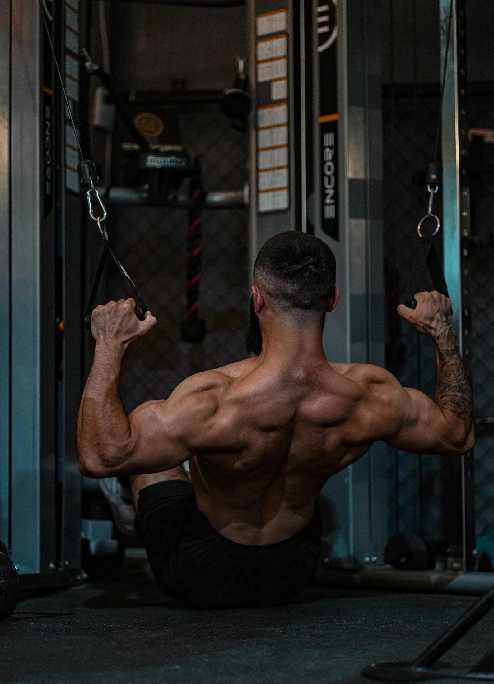 Anatoly Home and Gym Workout Program,8-week Training Program for ...