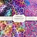 Iridescent Leopard Print Digital Paper - 42 PNG Files (digital Download ...