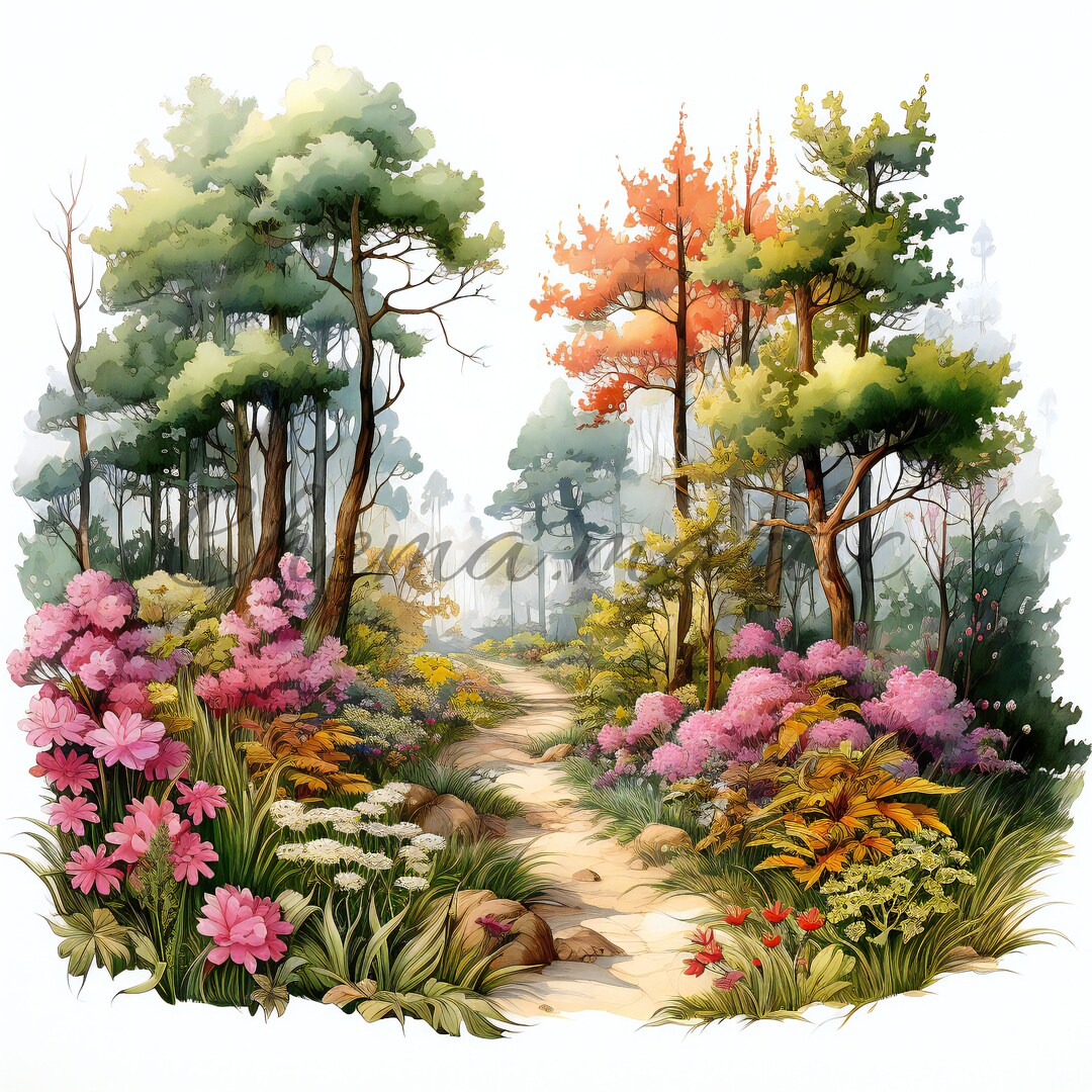 Pack 10 Watercolor Images Forests With Flowers and Paths, Clipart ...