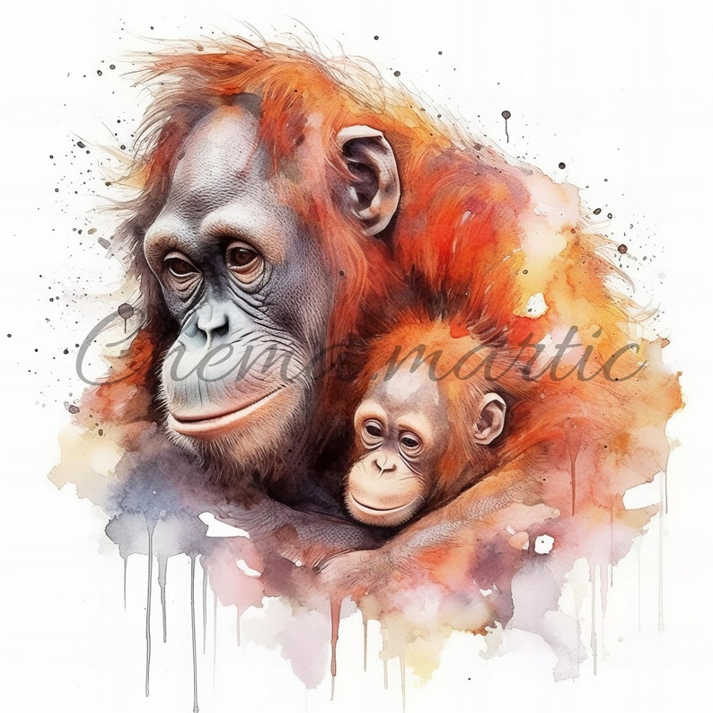 Pack 10 Orangutan Painting Images, Clipart, Digital Download, 10 JPG ...