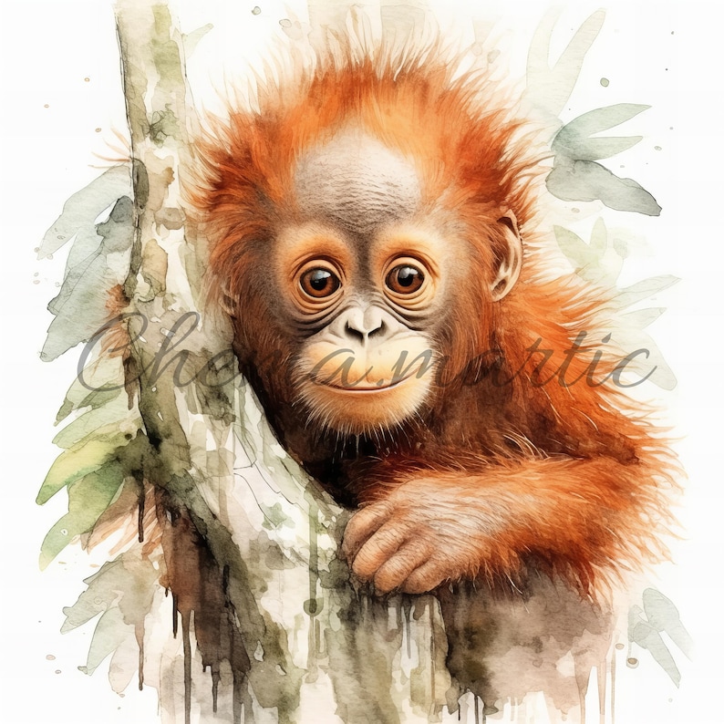 Pack 10 Orangutan Painting Images, Clipart, Digital Download, 10 JPG ...