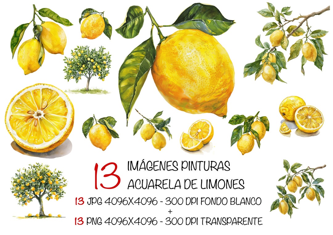 Pack 13 Lemons Watercolor Paint Images, Clipart, Digital Download, 13 ...