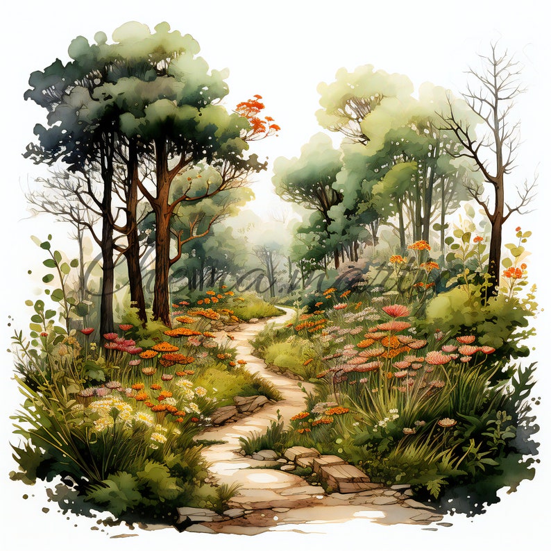 Pack 10 Watercolor Images Forests With Flowers and Paths, Clipart ...