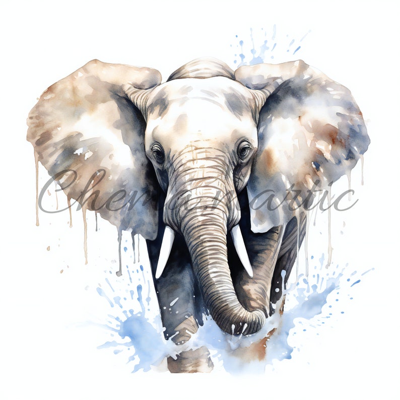 Elephant Art Images, Clipart, Digital Download, 10 4096x4096 High ...